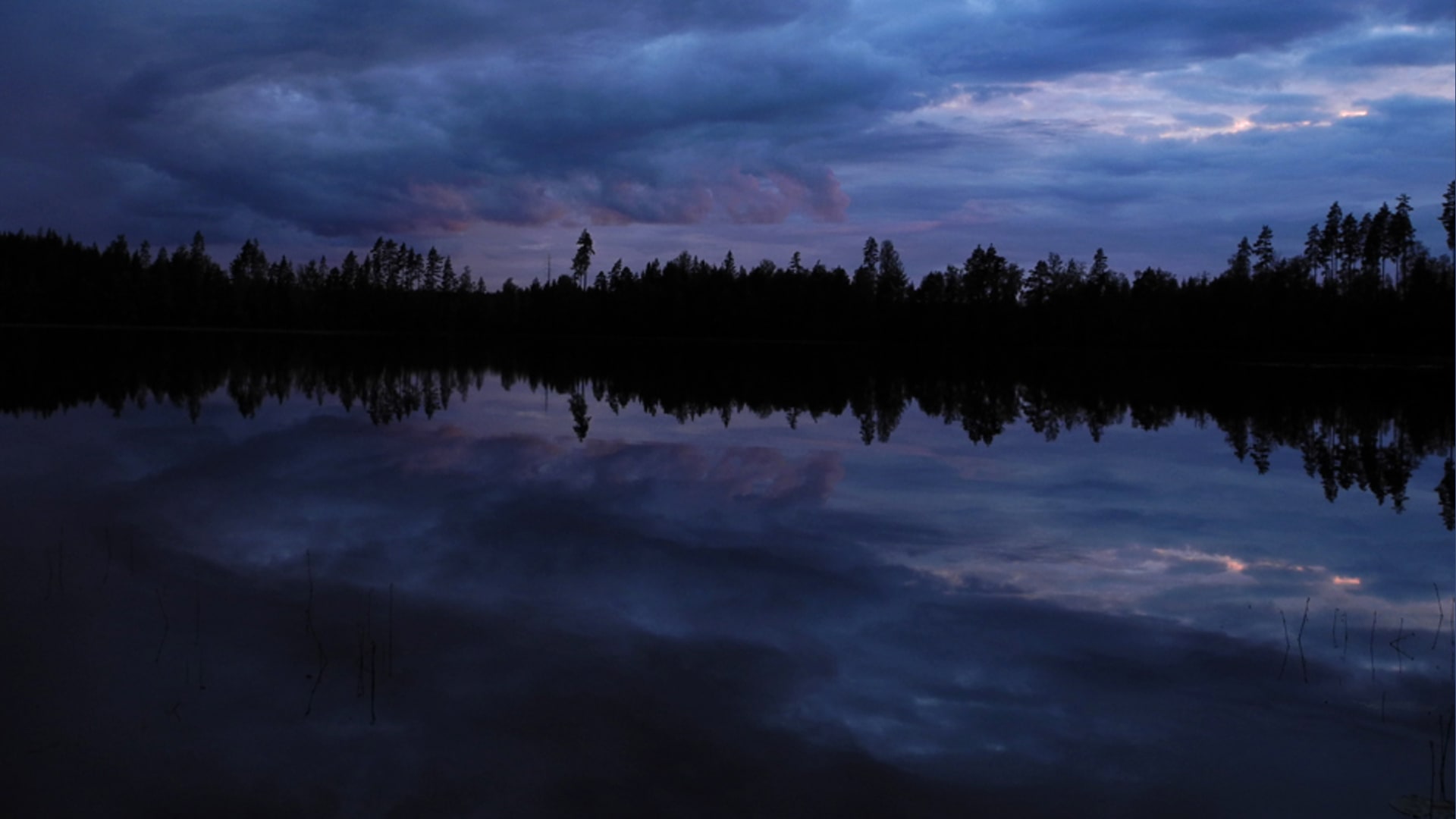 Luonto-Suomi.: Luonto-Suomen syksy | Luonto-Suomi | Yle Arenan