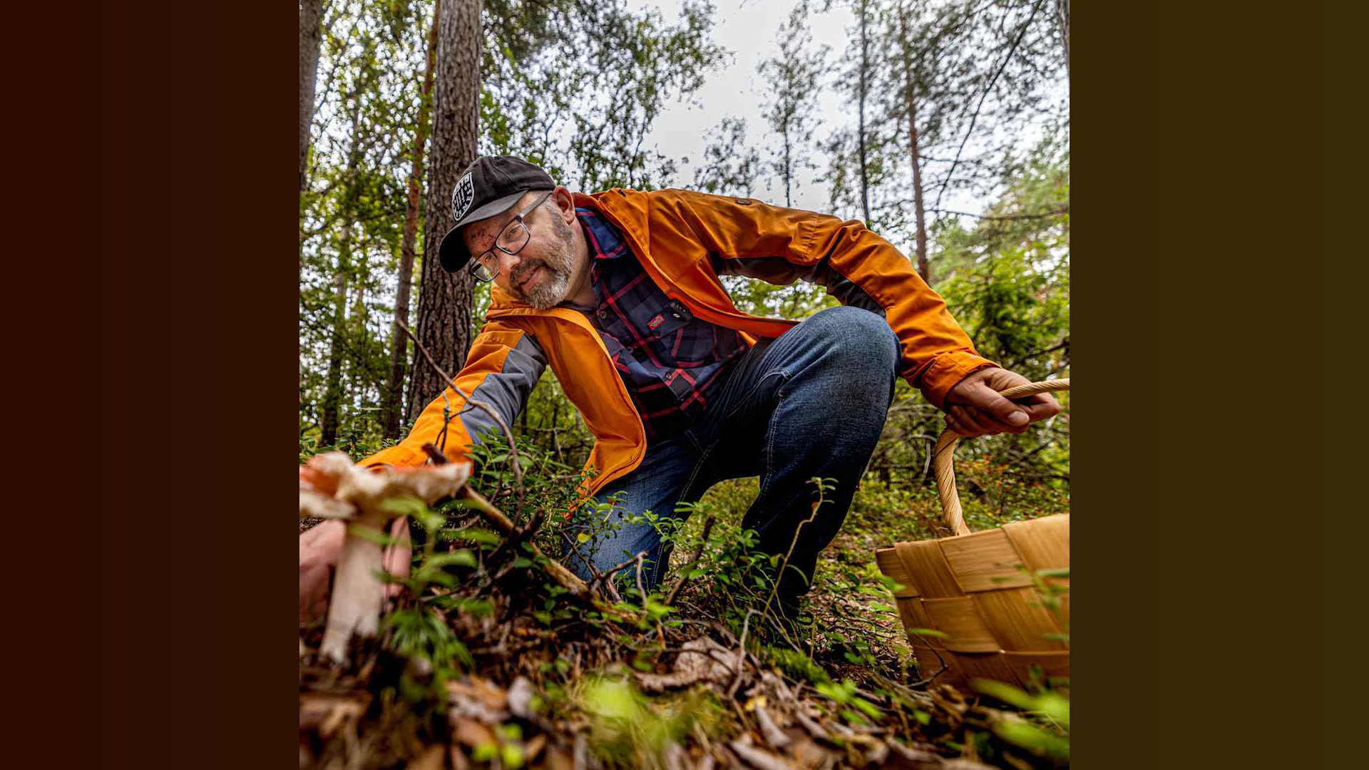 Svampsäsongen är här | Yle Vega Åboland | Yle Arenan