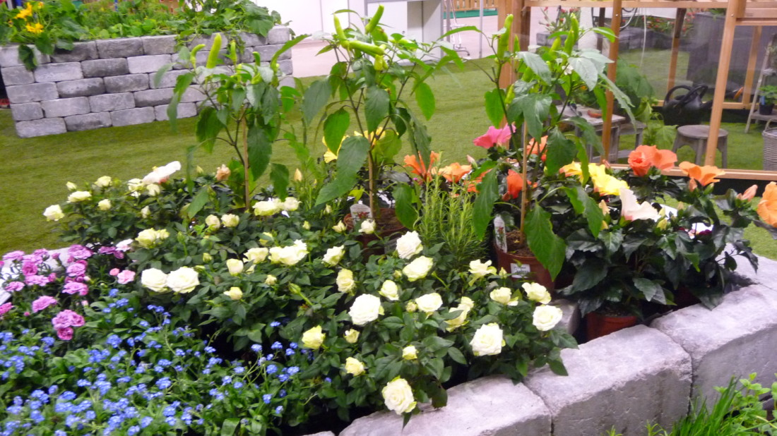 EU synar glyfosat: Roundup snart ett minne blott? | Inrikes | svenska ...