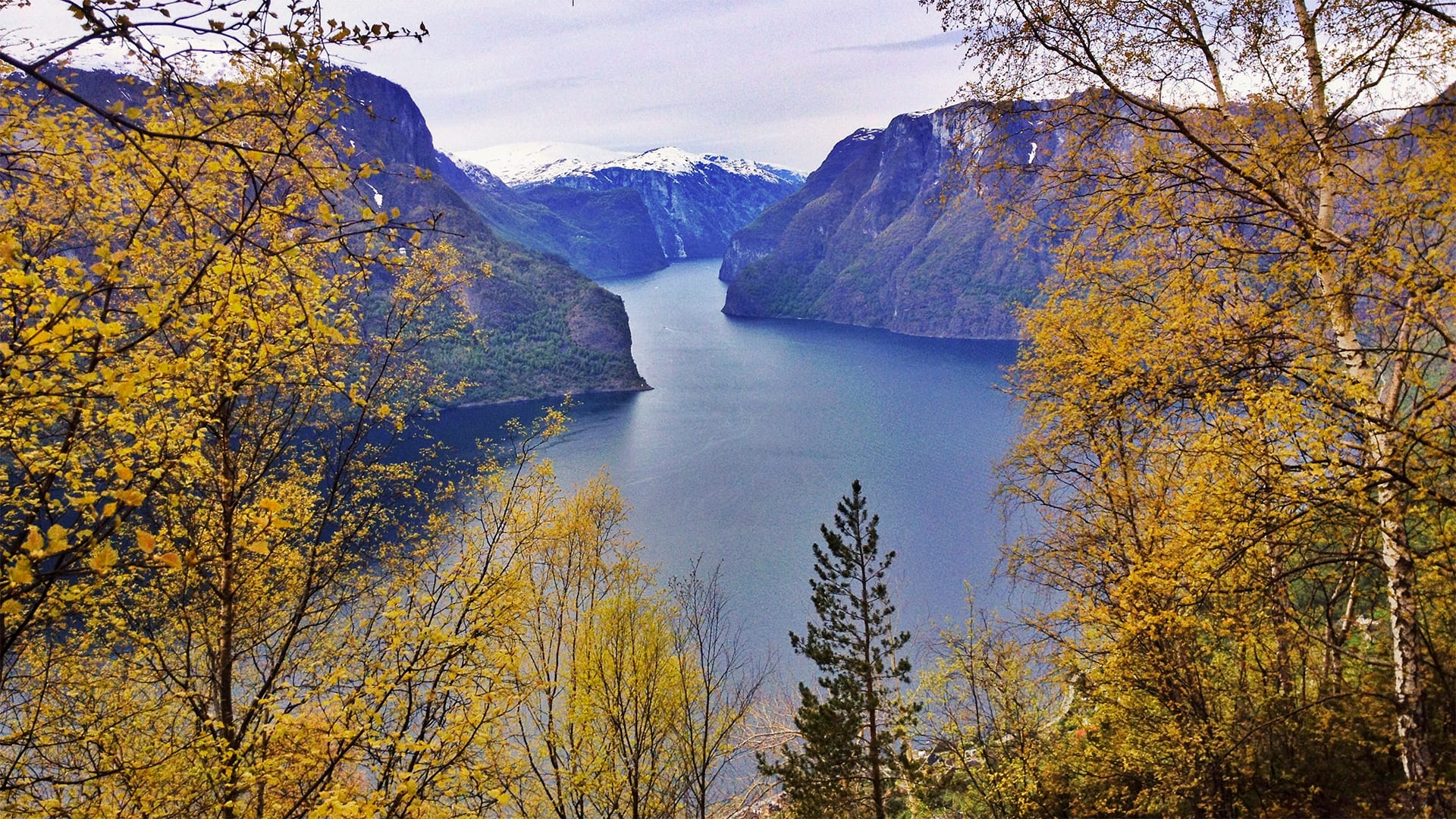Avara luonto: Elämää Norjan vuonoissa | TV | Areena | yle.fi