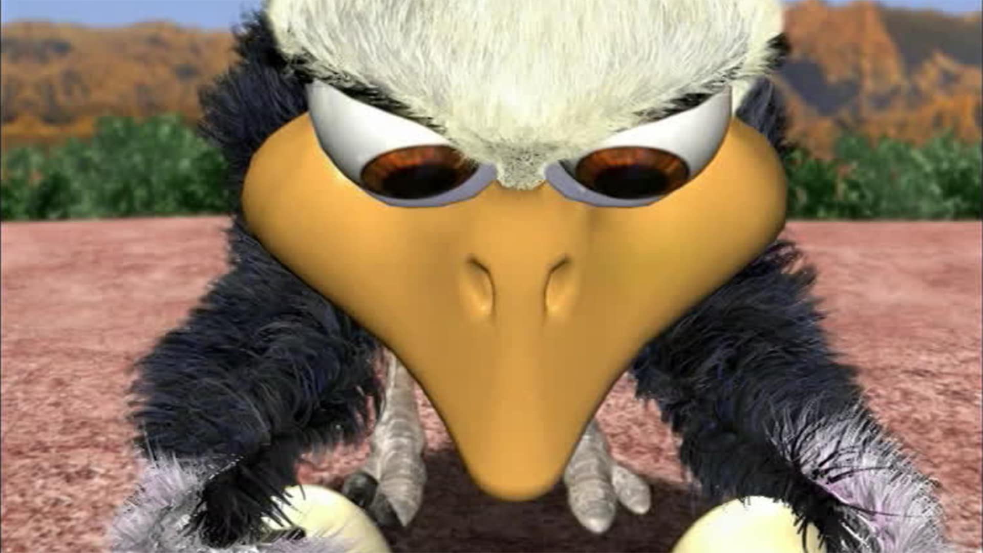 Strutsi | Viidakkojytä | TV | Areena | yle.fi