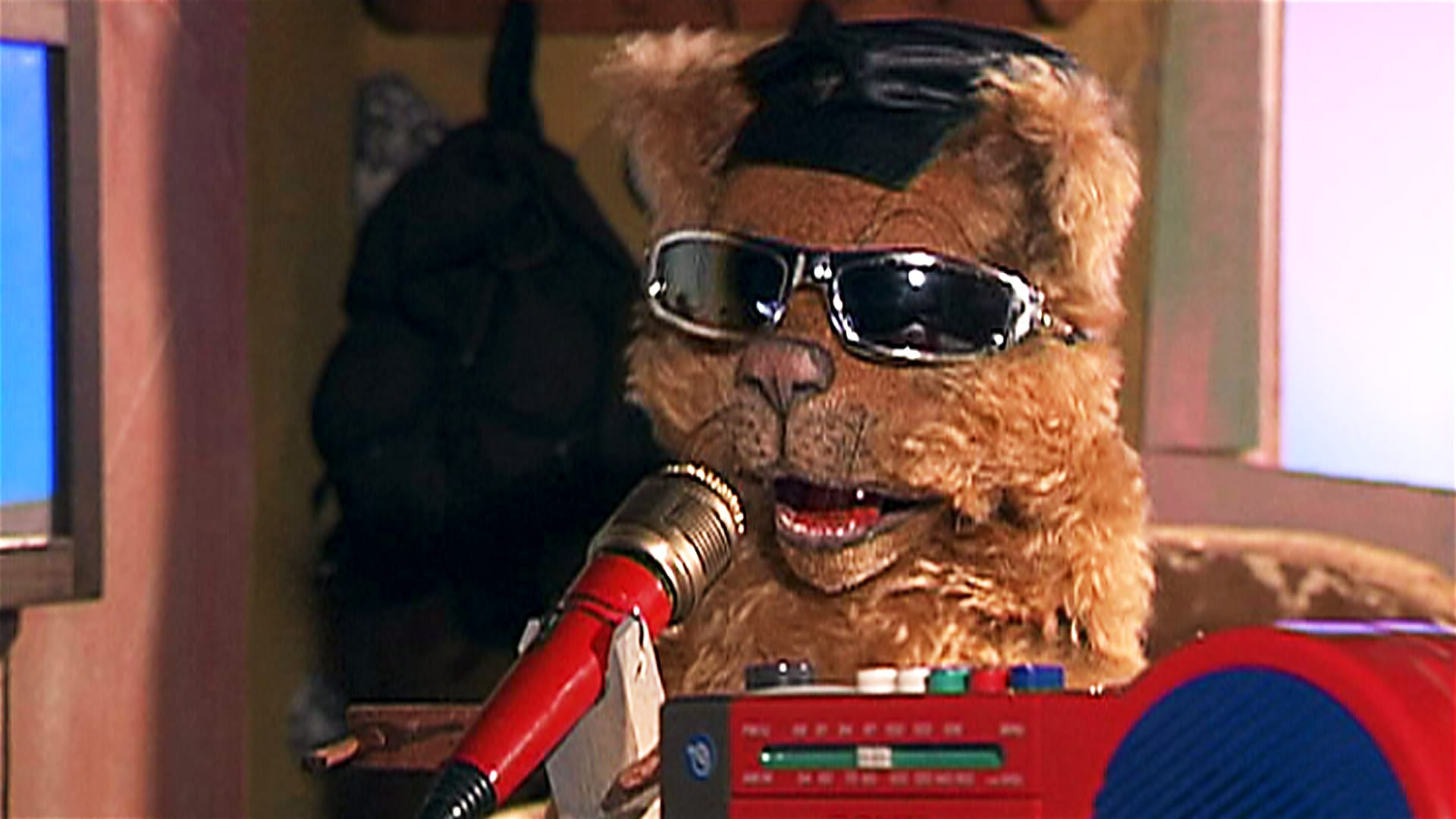 Mouru, kissatähti | Aasi, Morso ja Mouru | TV | Areena | yle.fi