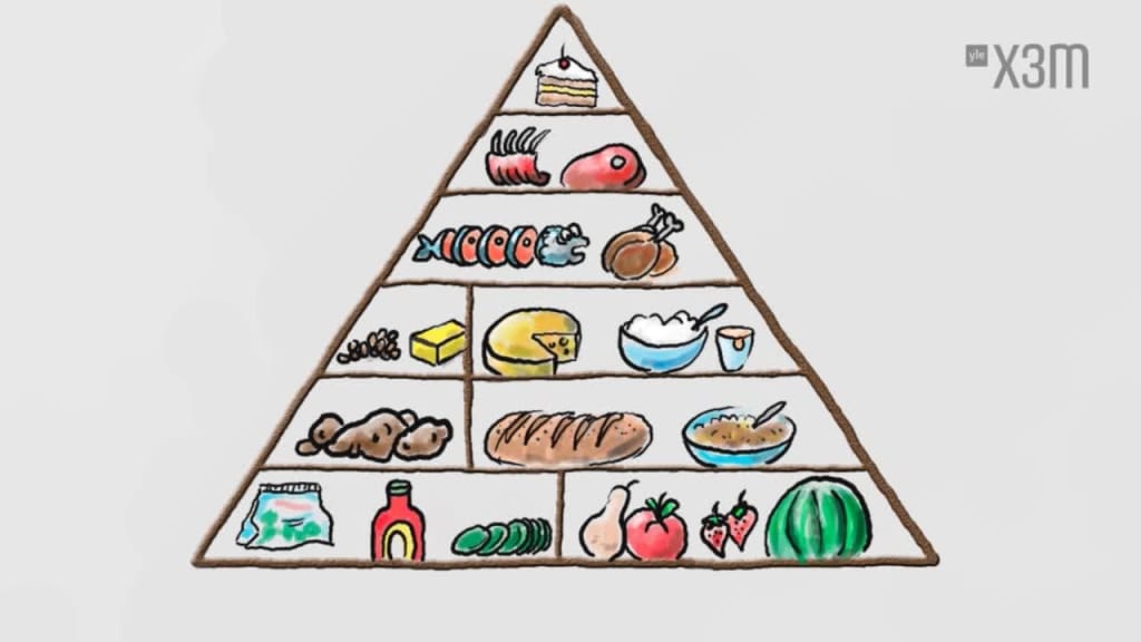 X3M-tv: Kostpyramid för studerande | Arkiv | TV | Arenan | svenska.yle.fi