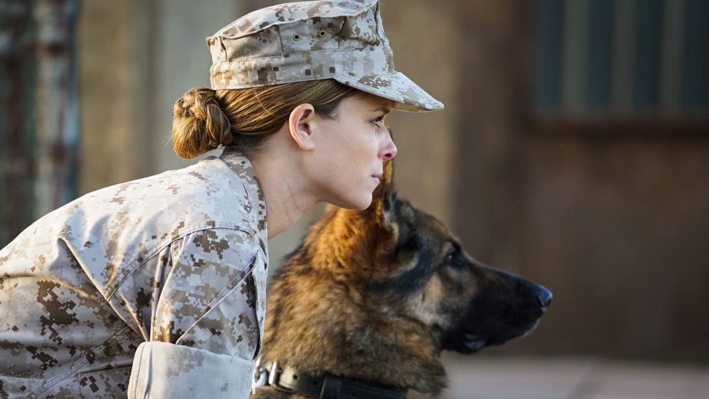 Megan Leavey | TV | Areena | yle.fi