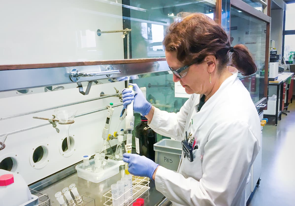 Tulli hylkäsi yli 100 000 kiloa israelilaisia appelsiineja kiellettyjen ...