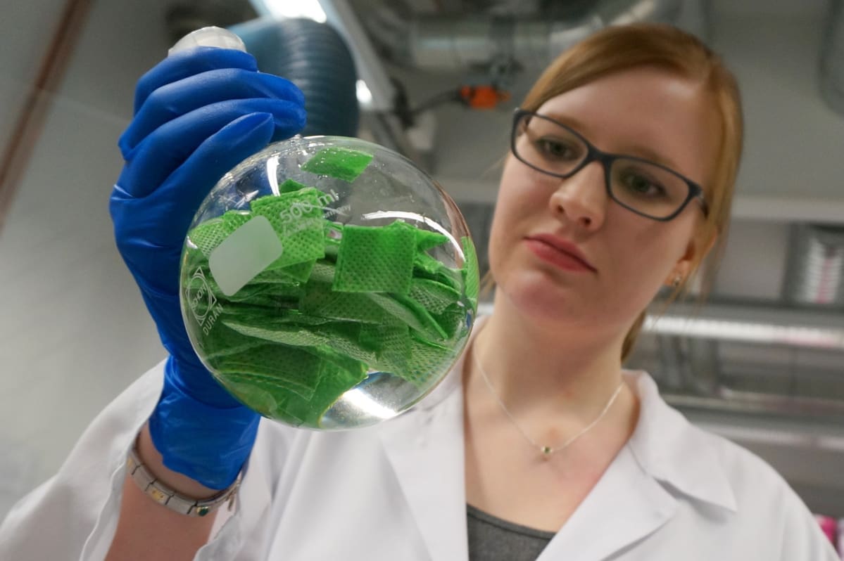 Biotestaus korvaa eläinkokeet – tuoteturvallisuus ontuu vielä | Yle ...