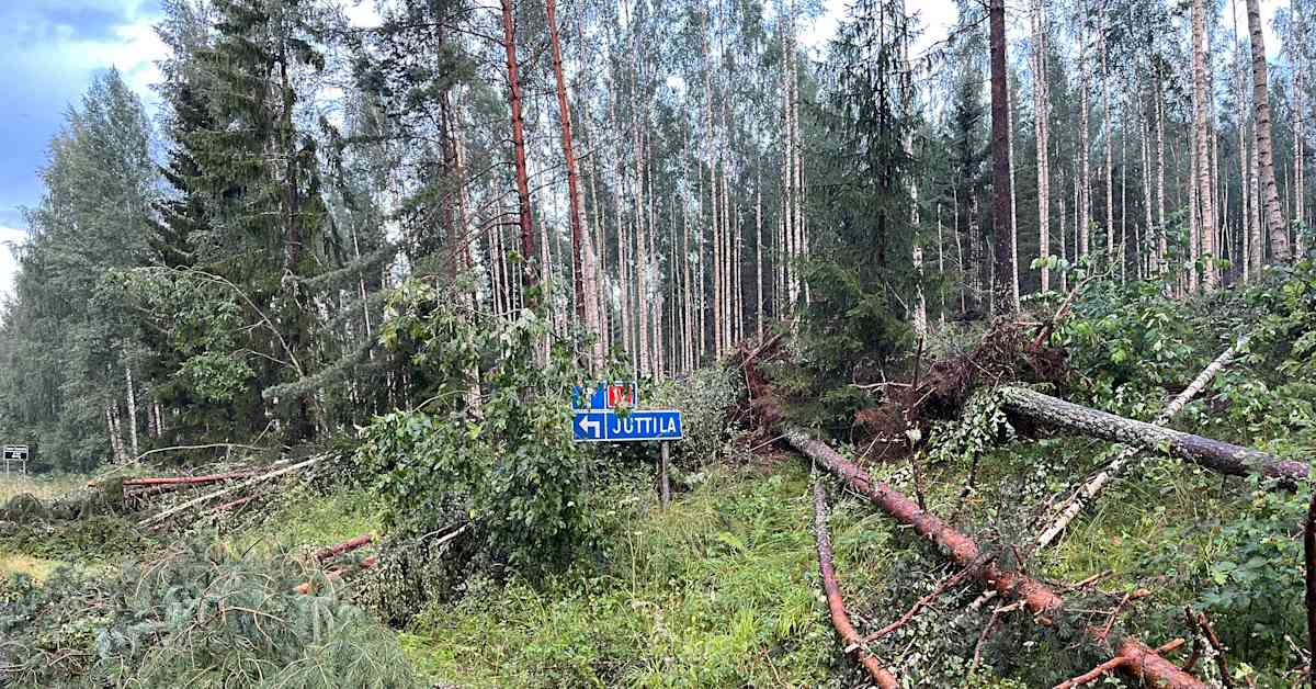 Sade- ja ukkosrintama myöhästytti lentoja Helsinki-Vantaalla ja kaatoi ...