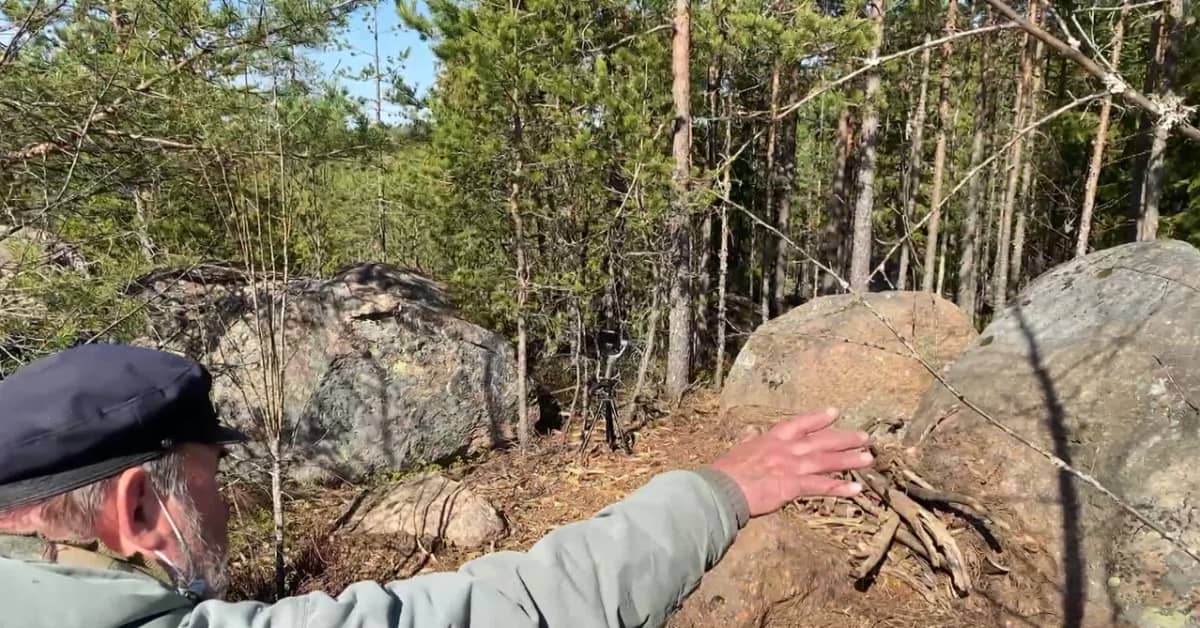 Etsimme talvihorroksesta heränneitä kyykäärmeitä – kyyt pysyivät ...