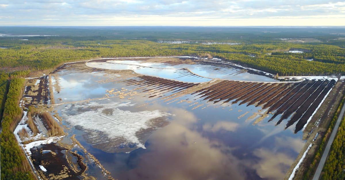 Tiesitkö, että Suomen suot voisivat torjua ilmastonmuutosta? Nyt ...
