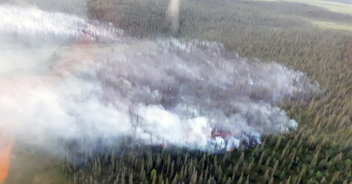 Wildfires rage in Lapland, more threaten Finland from the east | Yle
