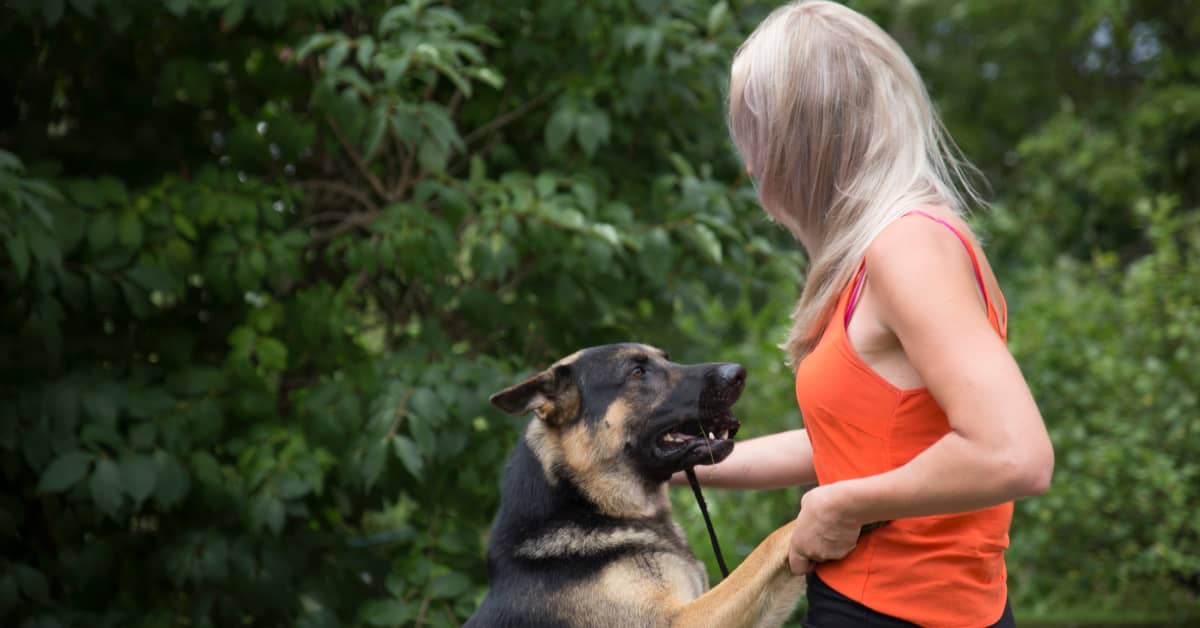 "Nyt kuolen", ajatteli Laura Salmela, 33, kun naapurin koira raateli ...