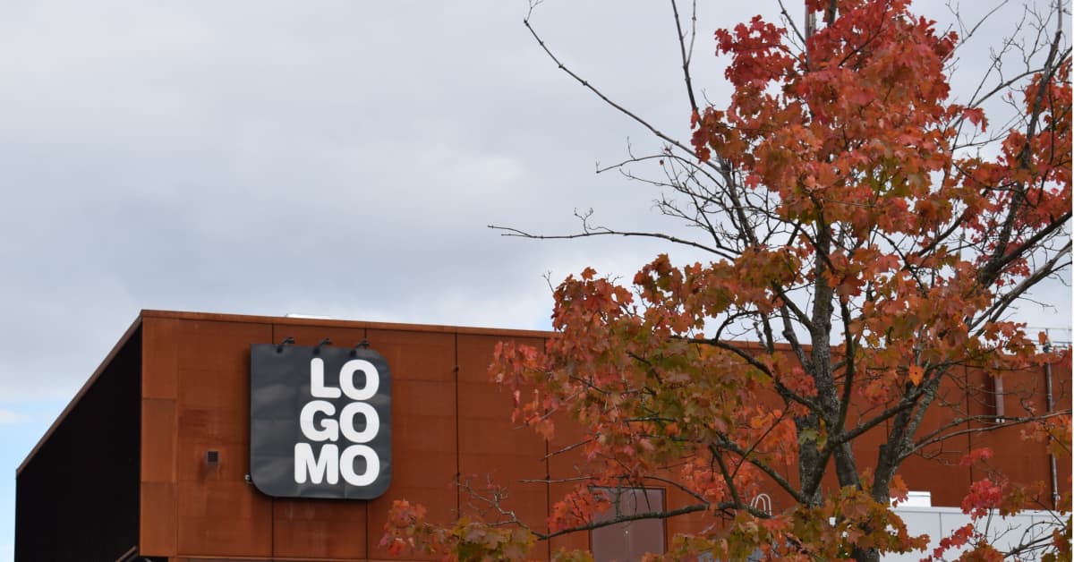 Logomo saa uuden omistajan – Hartela käynnistää myyntineuvottelut ...