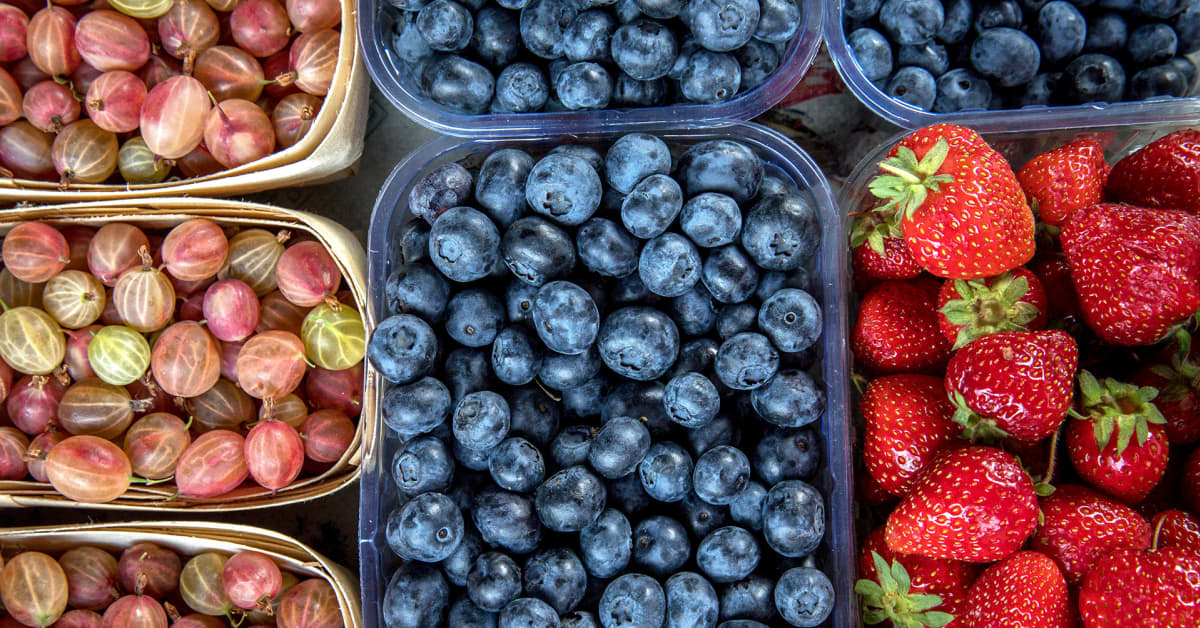 Suomalaiset marjat ovat aivoruuan aatelia – Tutkija: "Ehdottomasti ...