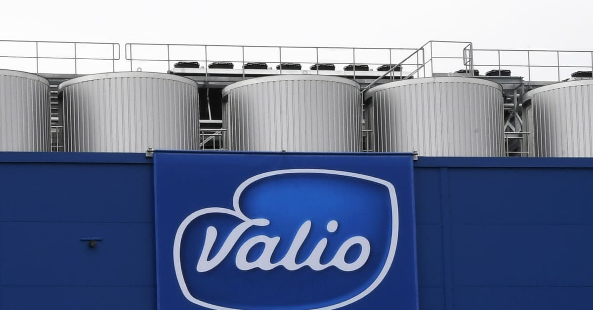 Finnish dairy giant Valio to cut up to 100 jobs | Yle