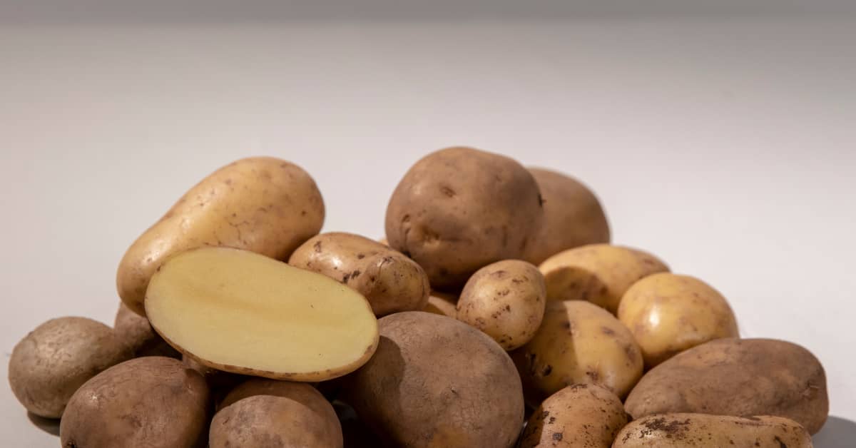 Pohjolan Peruna haluaa raaka-ainejäämistään biokaasua, jolla korvataan ...