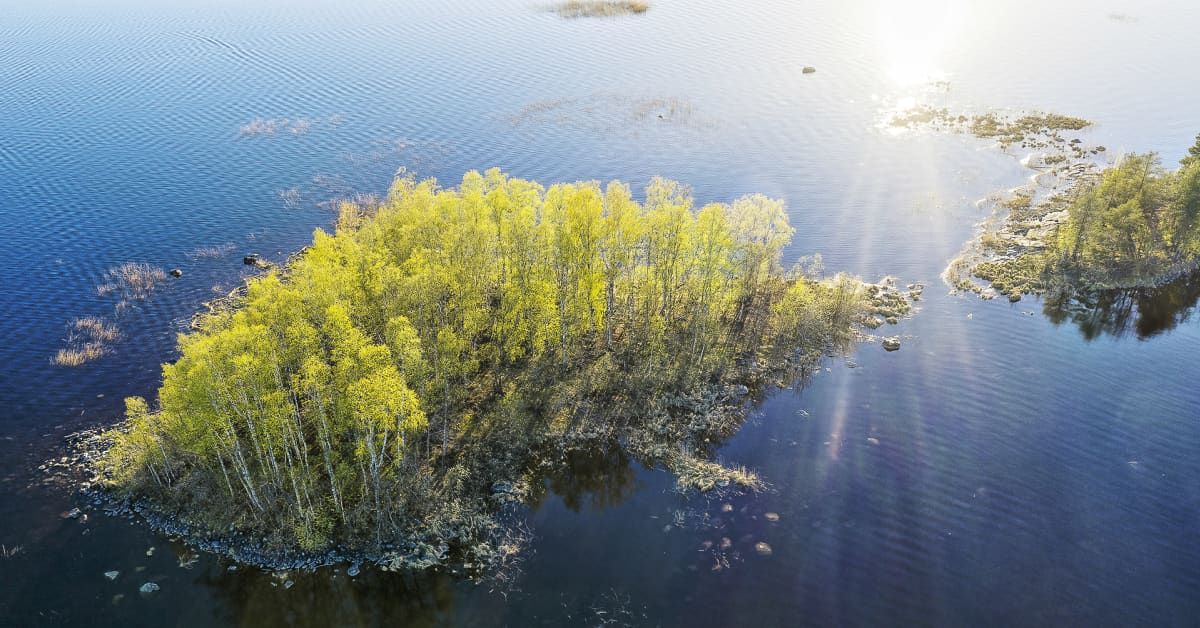Maanmittauslaitos selvitti: Suomi on tuhansien järvien maa | Yle