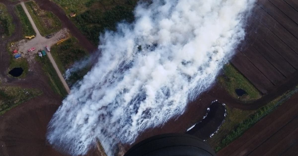 Sitra: Finland must stop burning peat sooner | Yle