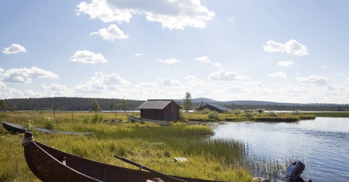Record August heat in Finnish Lapland | Yle