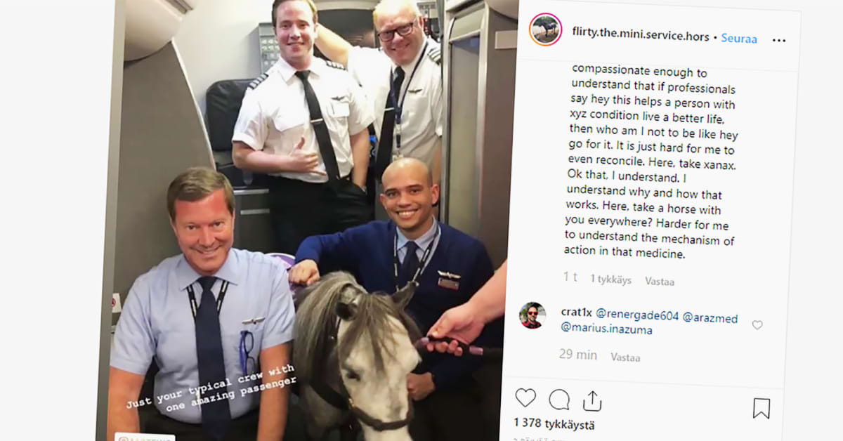 "Luulin ensin, että se oli todella iso koira" – minihevonen rauhoittaa ...