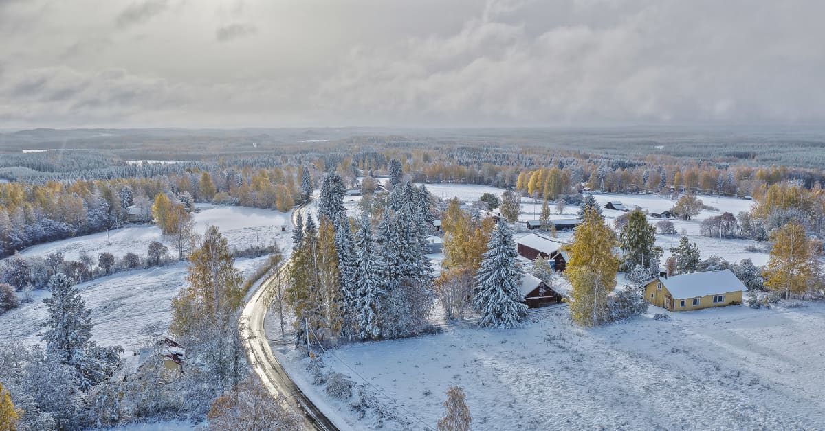 Poikkeuksellinen syksy: Suomessa on vietetty termistä kesää ja termistä ...