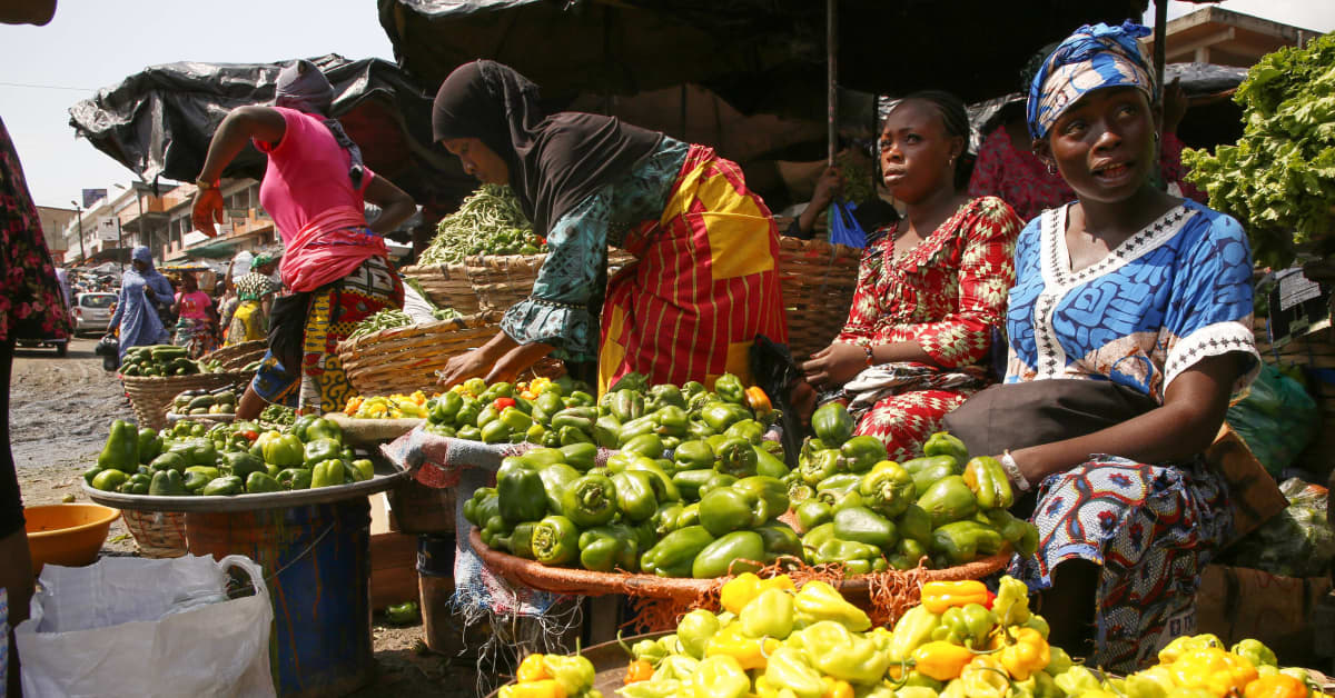 Köyhyys ja terveellinen ravinto ovat mahdoton yhtälö – Ideaali ...