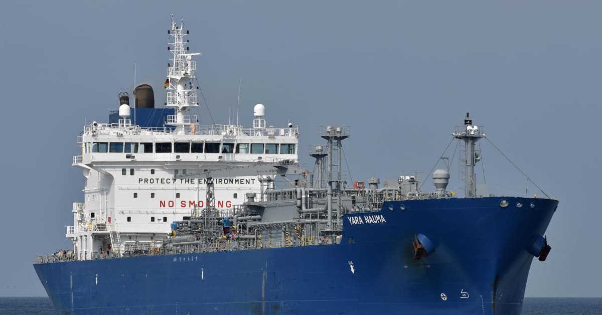 Norwegian freighter with 12 Covid-positive crew members offloads at sea ...