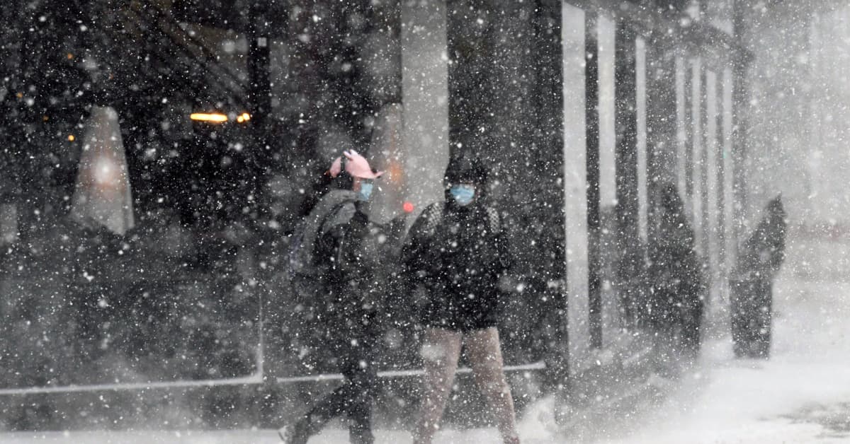 Finns mostly trust weather forecasts and THL research, survey finds | Yle