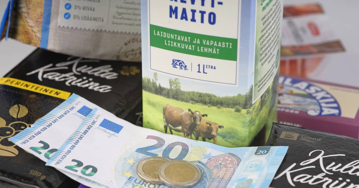 Finland's inflation hits nearly 8 percent in July | Yle
