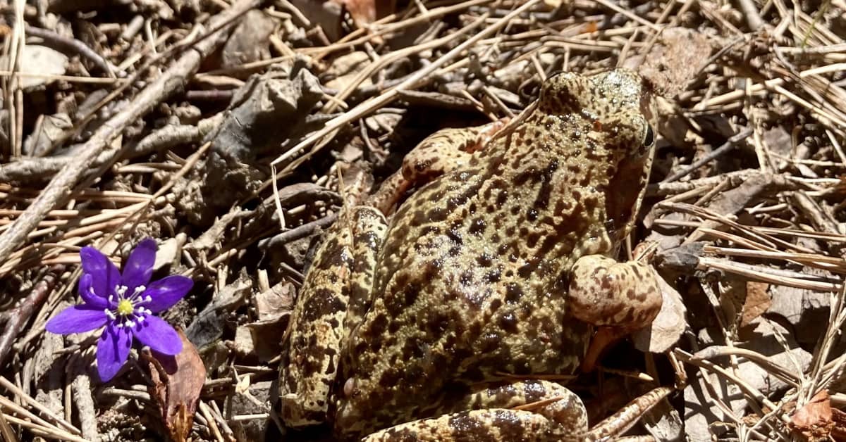 Lauantai 25.2.2023 (radio) | Yle