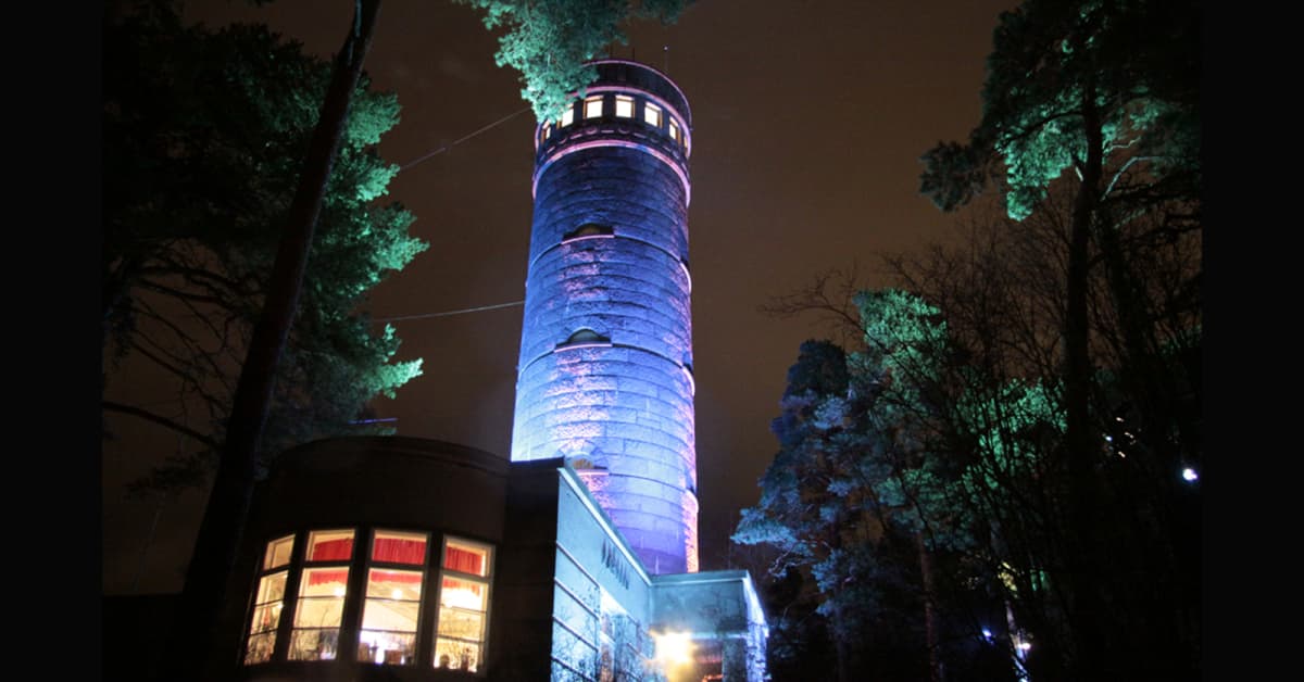 Pyynikinharju muuttui satumetsäksi | Yle