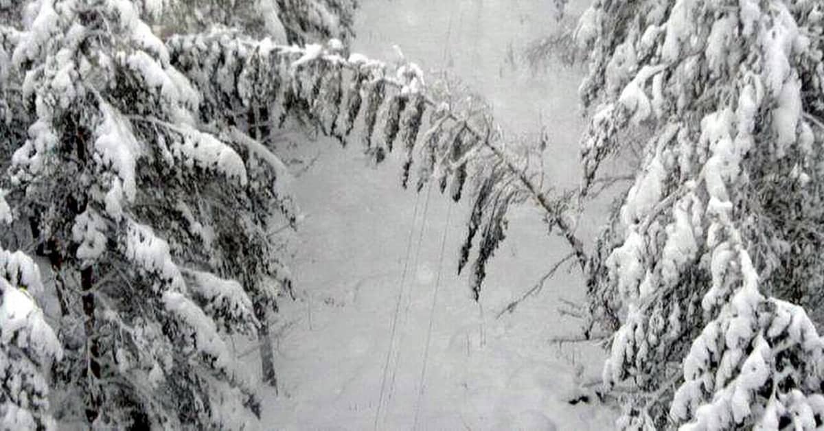 Aapeli säikäytti Pohjois-Karjalassa | Yle