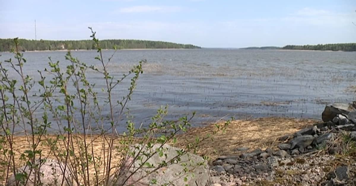 Rantojen ruoppaus ei ole enää läpihuutojuttu | Yle