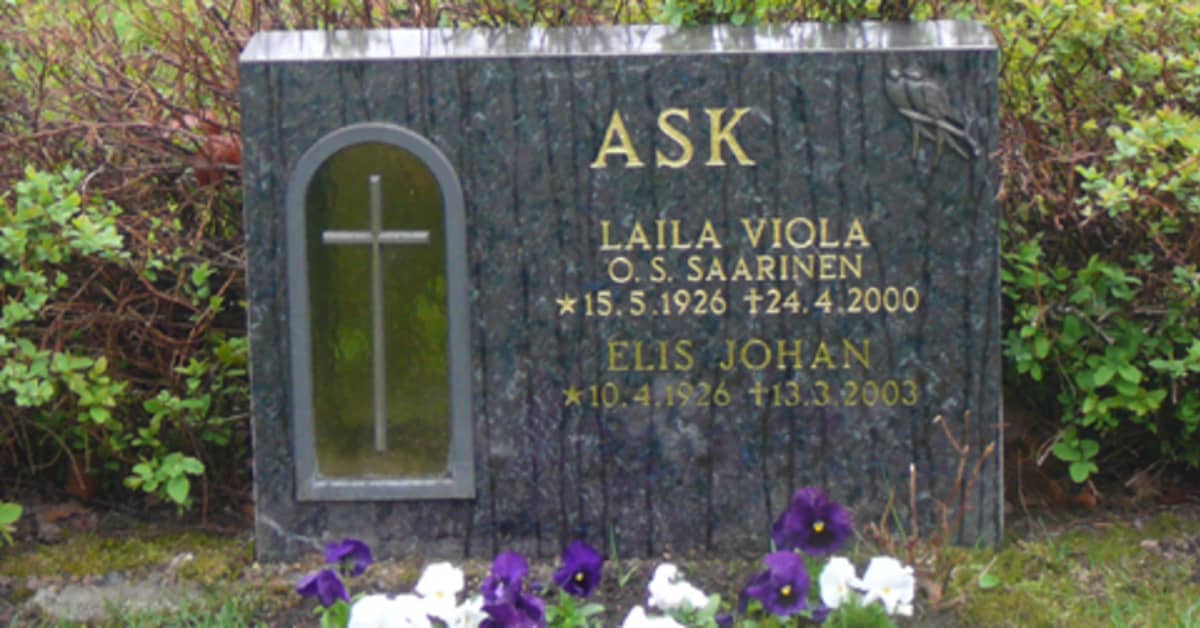 Elis Ask - kaikkien kaveri | Yle