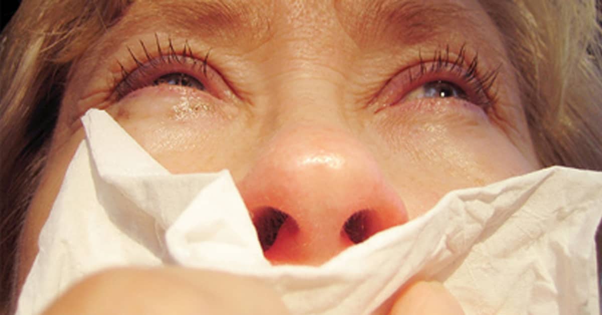 Tiesitkö tämän: sieraimet siemailevat ilmaa vuorotellen | Yle