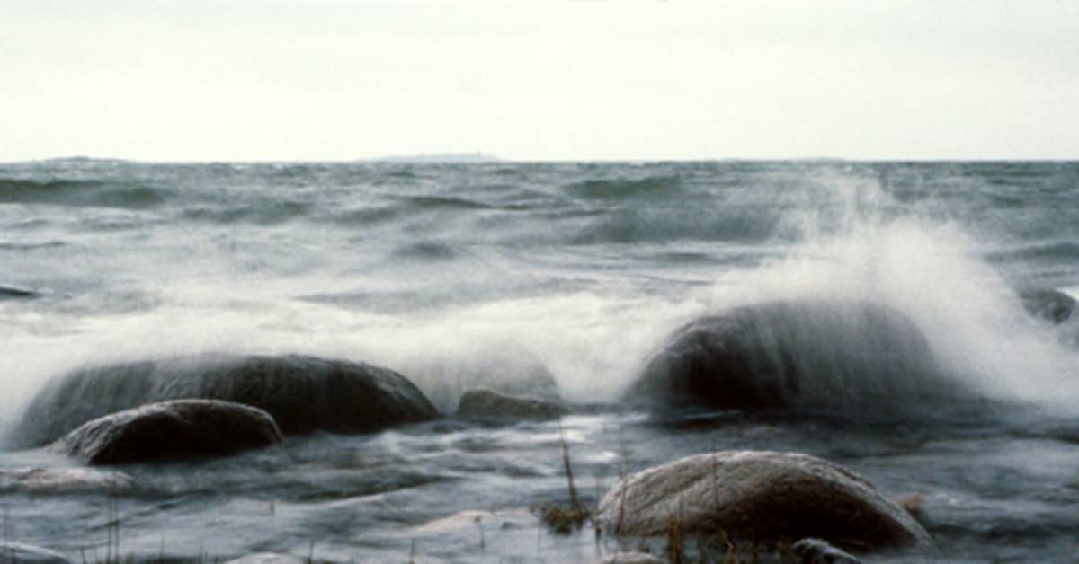 Maailman merien päivää vietetään 8.6. | Yle