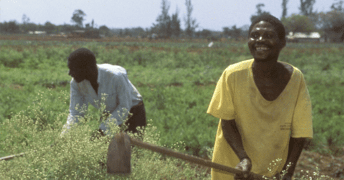 Finland Focusing More on Helping Poor Countries Develop Food Production ...