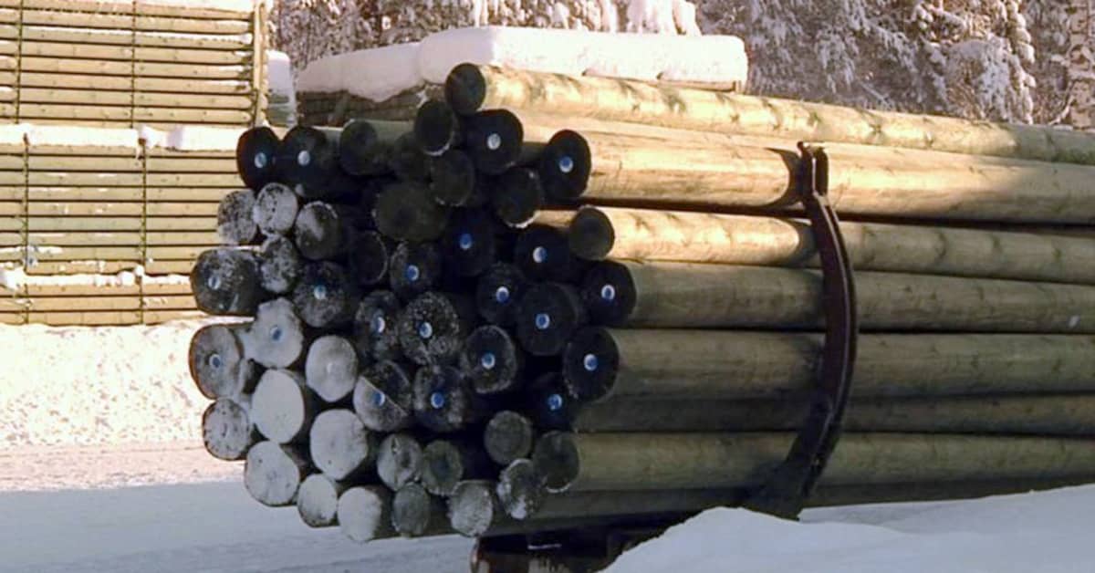 Iivari Mononen kipuaa Euroopan suurimmaksi pylvään kyllästäjäksi | Yle