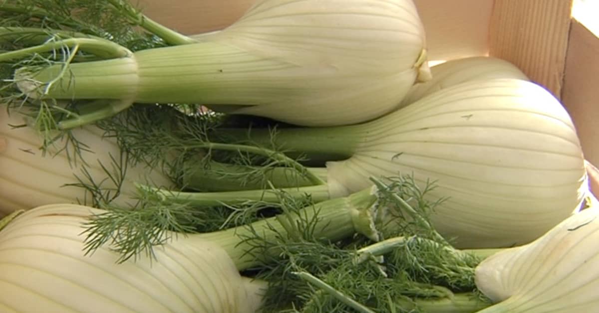 Tutkimus: Luomuruoka ei ole vitamiinipommi | Yle