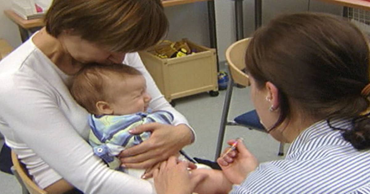 Tuhkarokko palasi Uudellemaalle | Yle