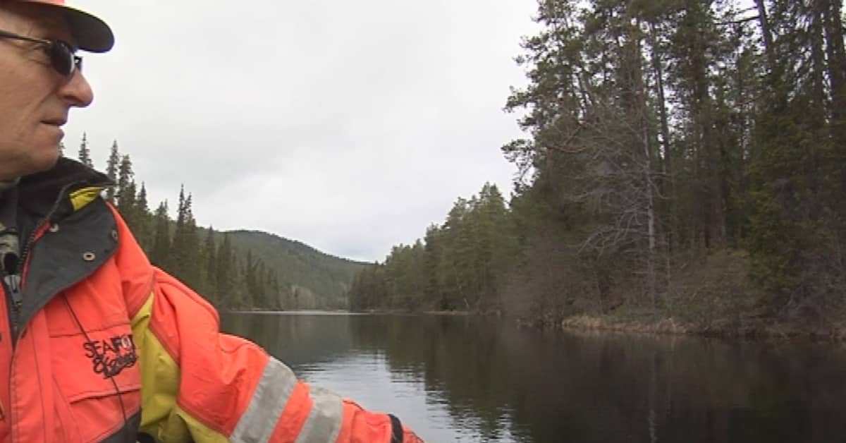 Kuusamossa pyydetään haukia taimenten tieltä | Yle