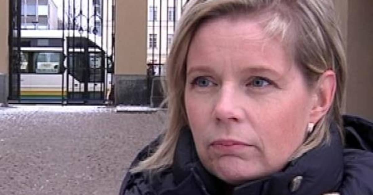 Kokoomuksen puoluehallitukseen kuuluva Sari Rautio pitää sateenkaarta ...