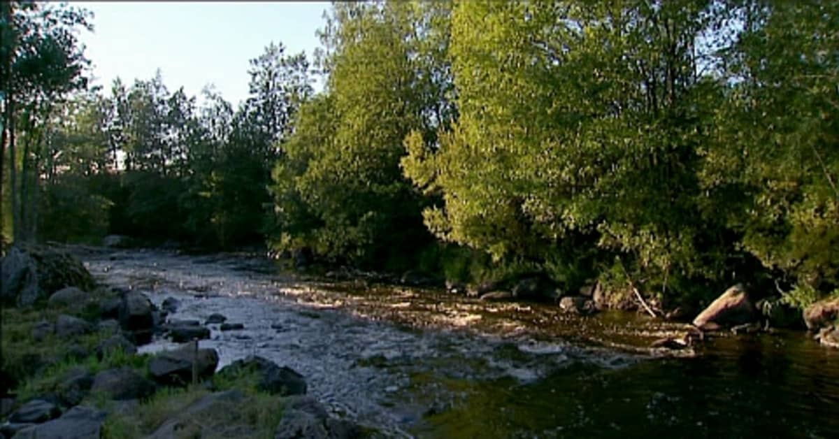 Kalastusmatkailu kasvaa Merikarvialla | Yle