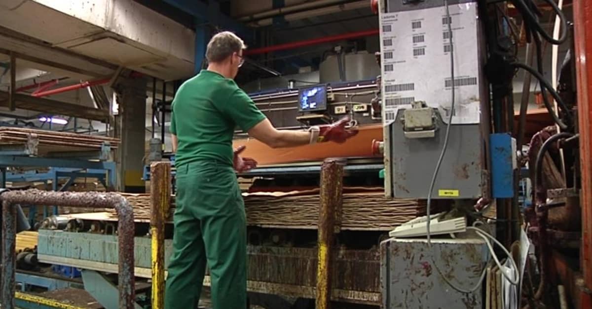 UPM: Vanerin valmistus kannattaa | Yle