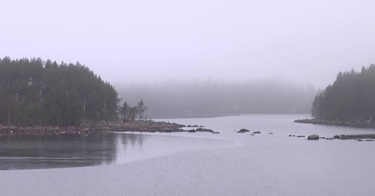 Viitasaari kaavoittaa rantoja | Yle