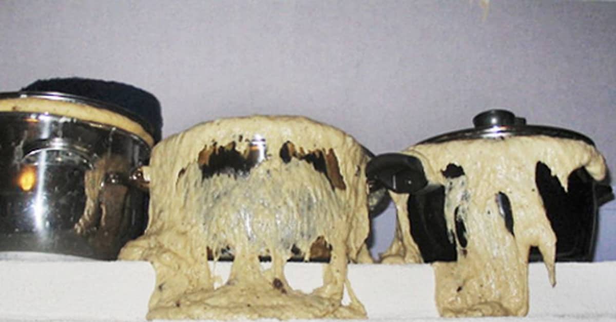 Finns celebrate International Failure Day | Yle