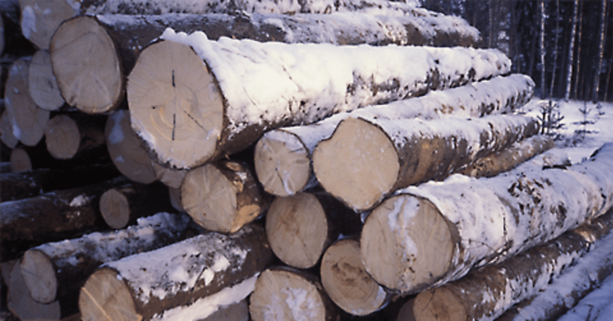 Pohjoisen sahat ovat huolissaan tukkipuusta | Yle
