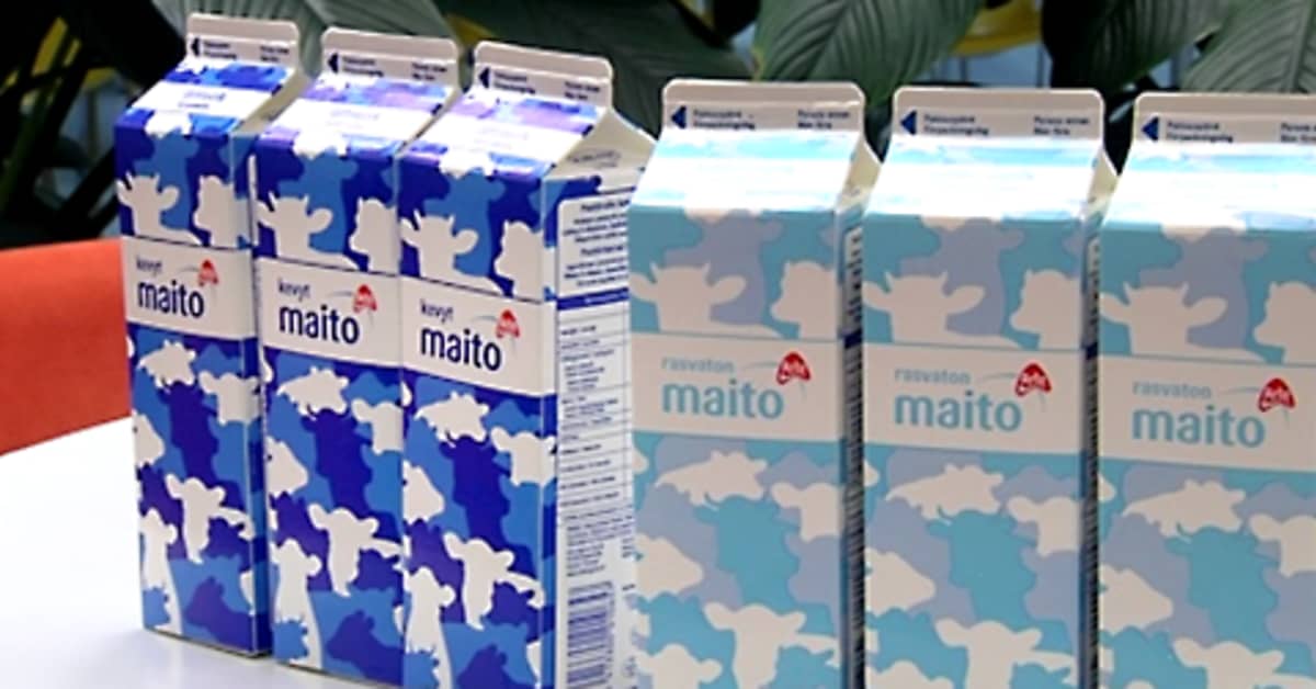Maidontuottajat tyrmäävät ruotsalaisen maidon tuonnin | Yle