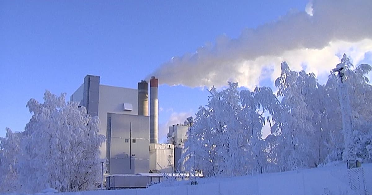 World’s first wood-based biofuel refinery to be built in Finland | Yle