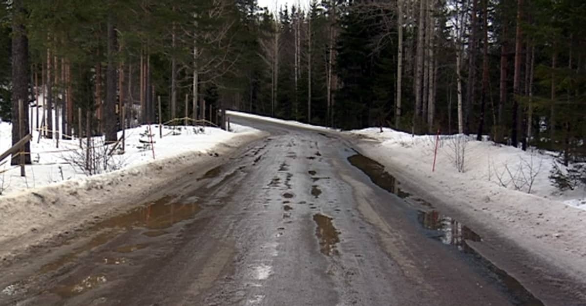 Suonenjoki tukee yksityisteitä | Yle