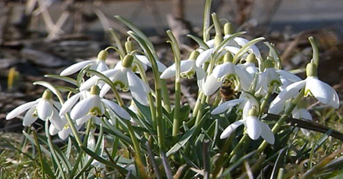 Huhtikuu oli globaalisti ilmastohistorian lämpimin | Yle